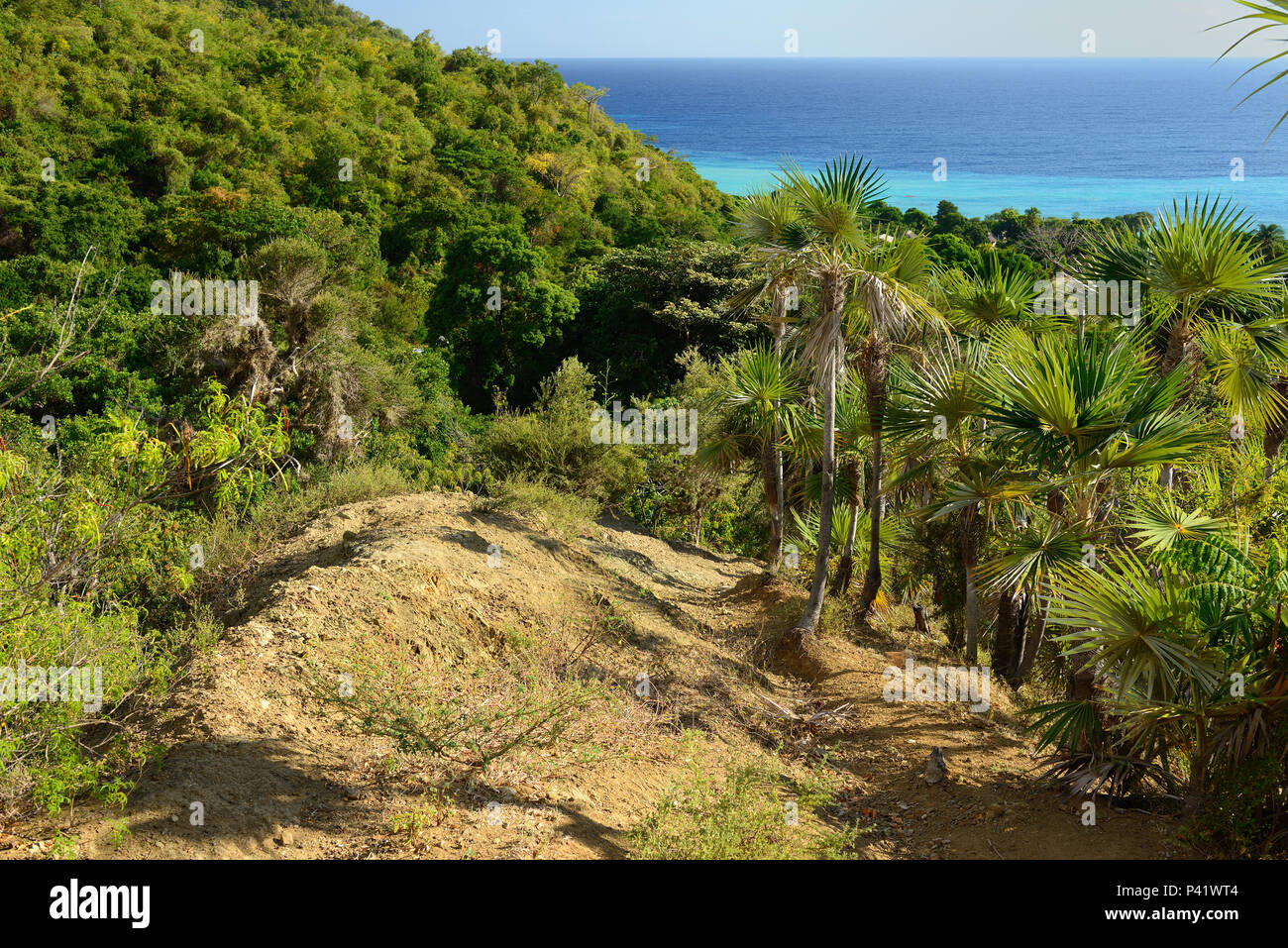 The trail for the highest peak on Cuba Pico Turquino being in a ...