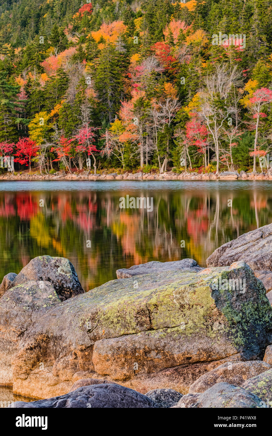 Deciduous forest and pond in autumn, Jordan Pond, Mount Desert Island ...