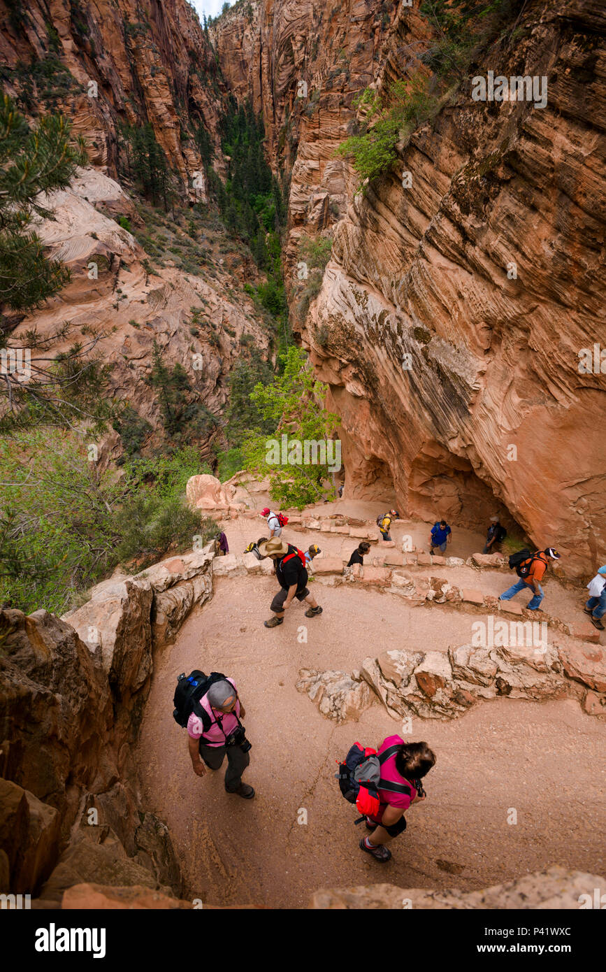 Hikers on Walter's Wiggles, an ingenious set of steep switchbacks on ...