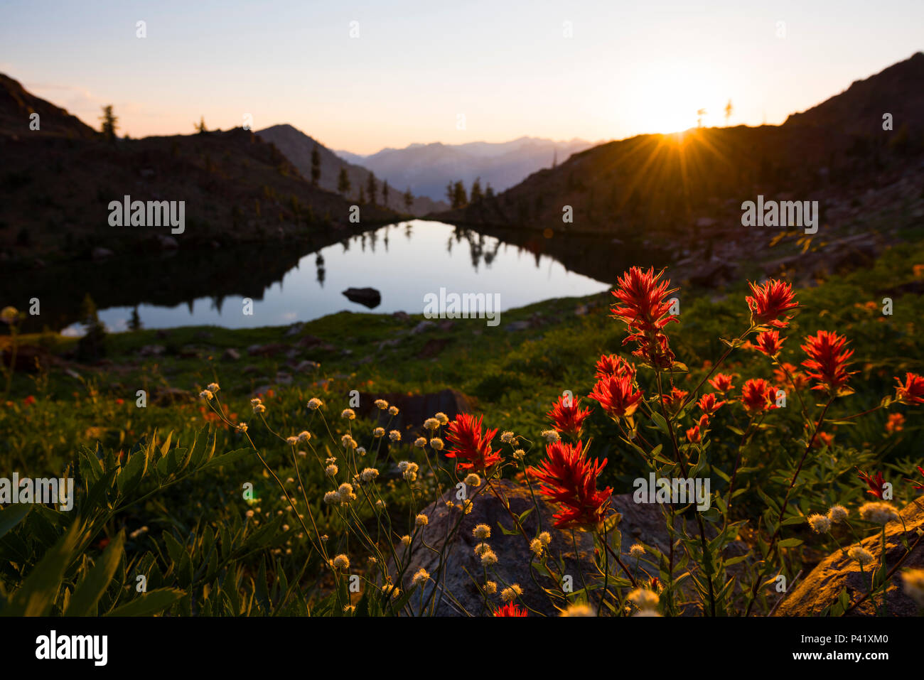 Sunset and wildflowers at Echo Lake in the Trinity Alps wilderness Four ...