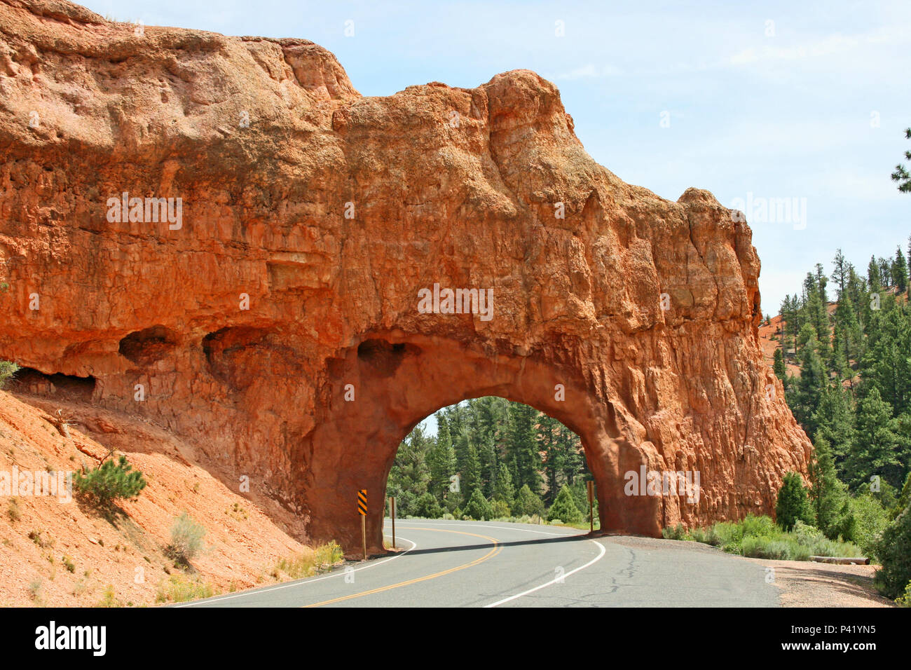 Road over arch trees arch hi-res stock photography and images - Alamy