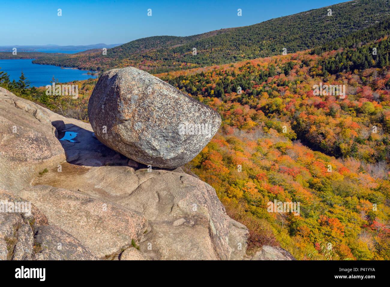 Glacial granite rock and deciduous forest in autumn, Bubble Rock, Mount ...