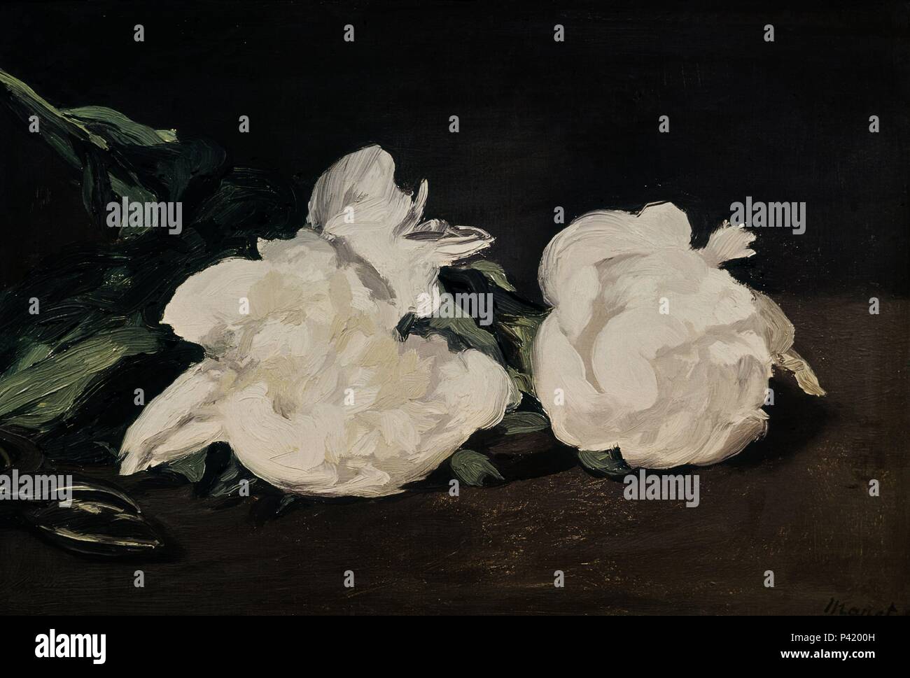 Branch of White Peonies and Secateurs - 1864 - 31x46,5 cm - oil on ...