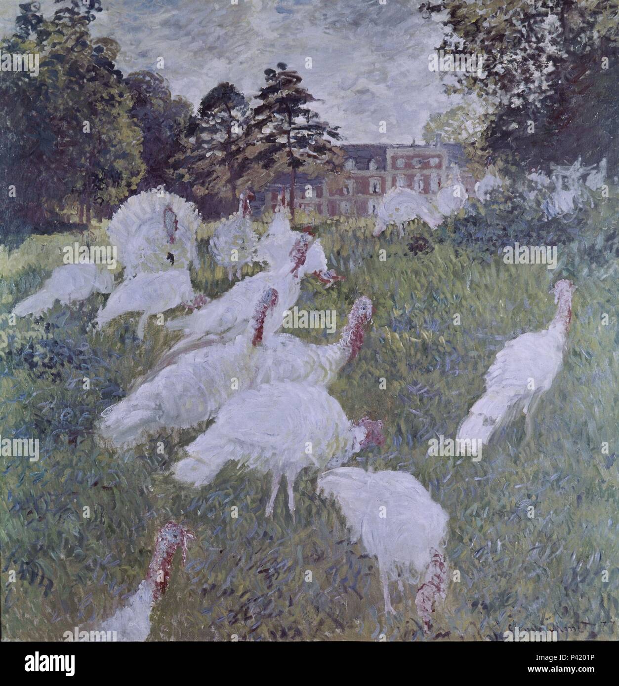 The turkeys at the chateau de rottembourg hi-res stock photography and ...