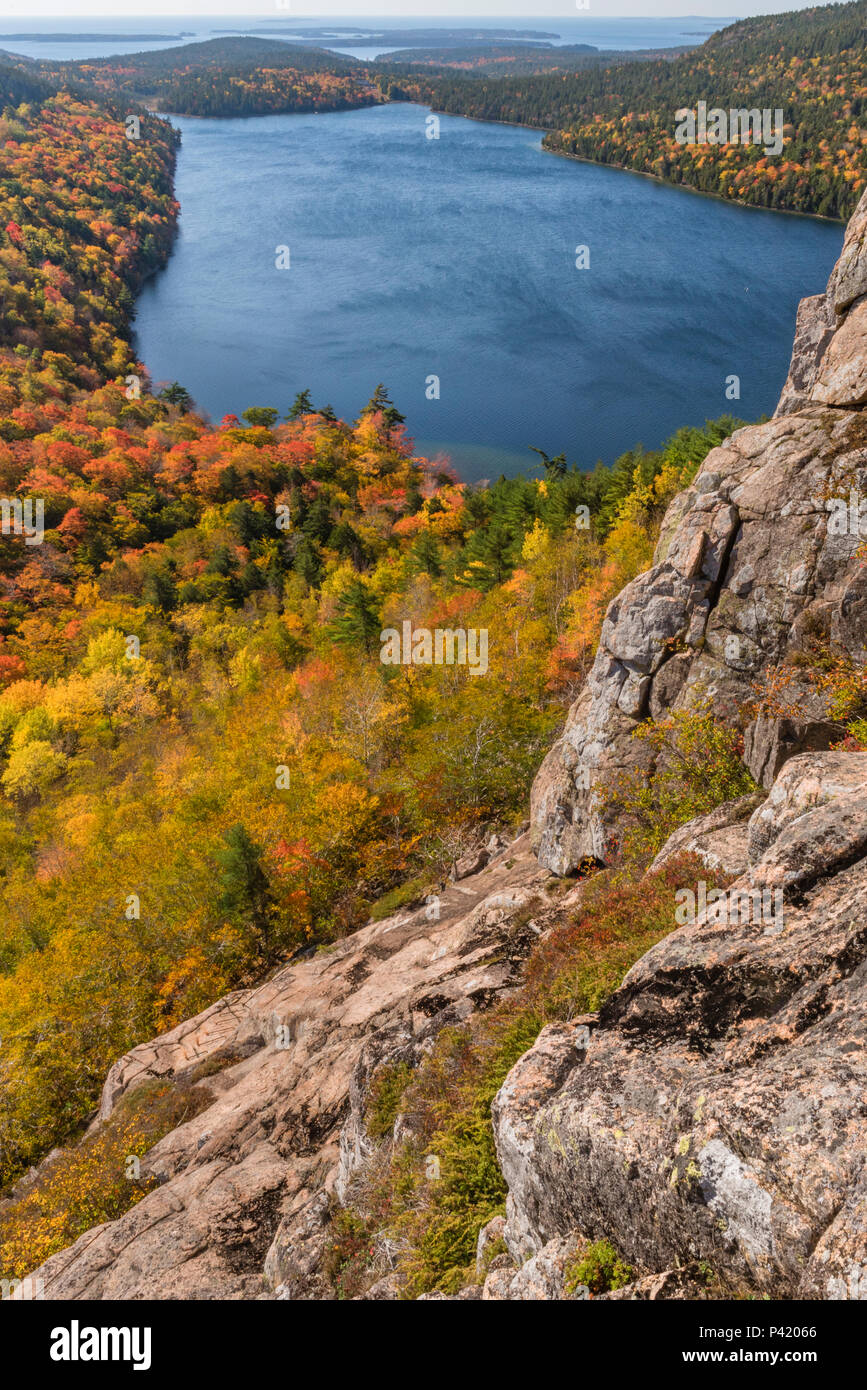 Deciduous forest and pond in autumn, Jordan Pond, Mount Desert Island ...