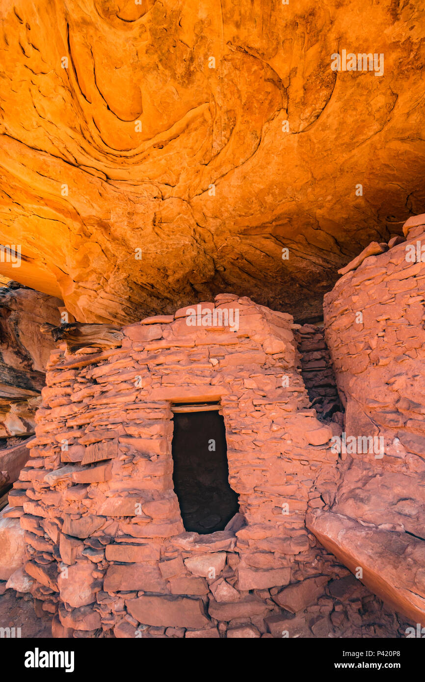 Ancestral Puebloan ruins, Road Canyon, Bears Ears National Monument ...