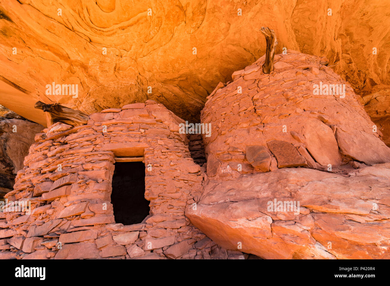 Ancestral Puebloan ruins, Road Canyon, Bears Ears National Monument ...