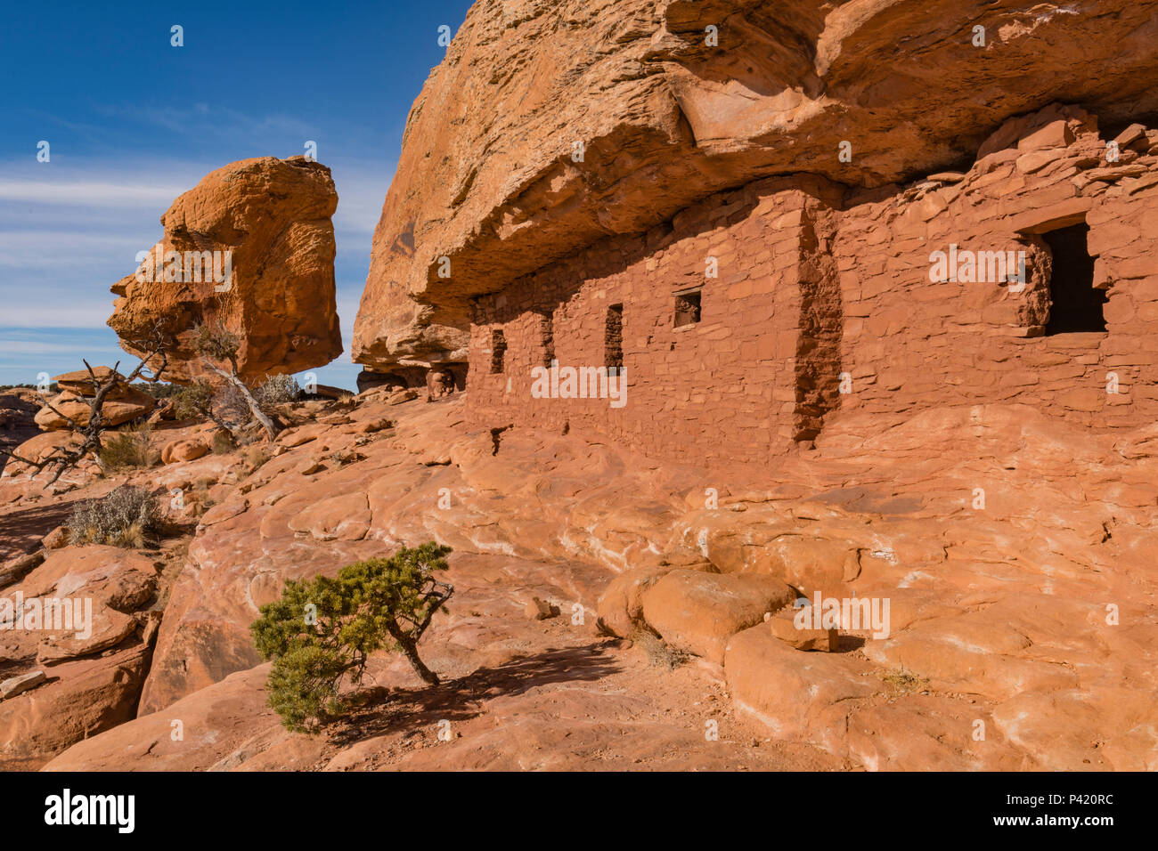 Ancestral Puebloan ruins, Road Canyon, Bears Ears National Monument ...