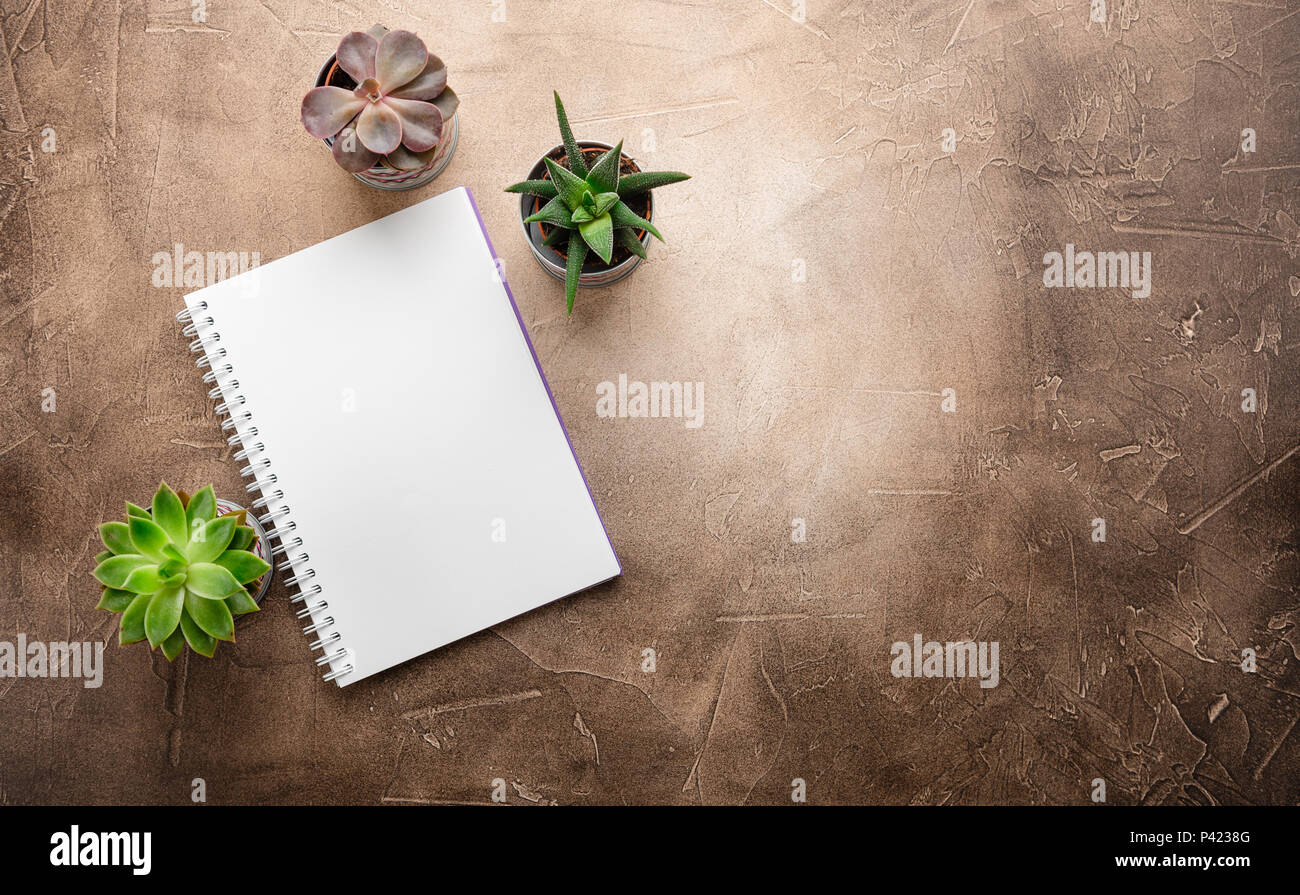 Empty note pad for notes and pots with succulents on the table. Top ...
