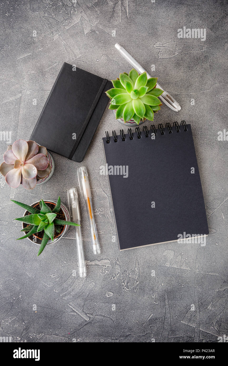 Black notepads pens and potted succulent on a grey desk in an overhead ...