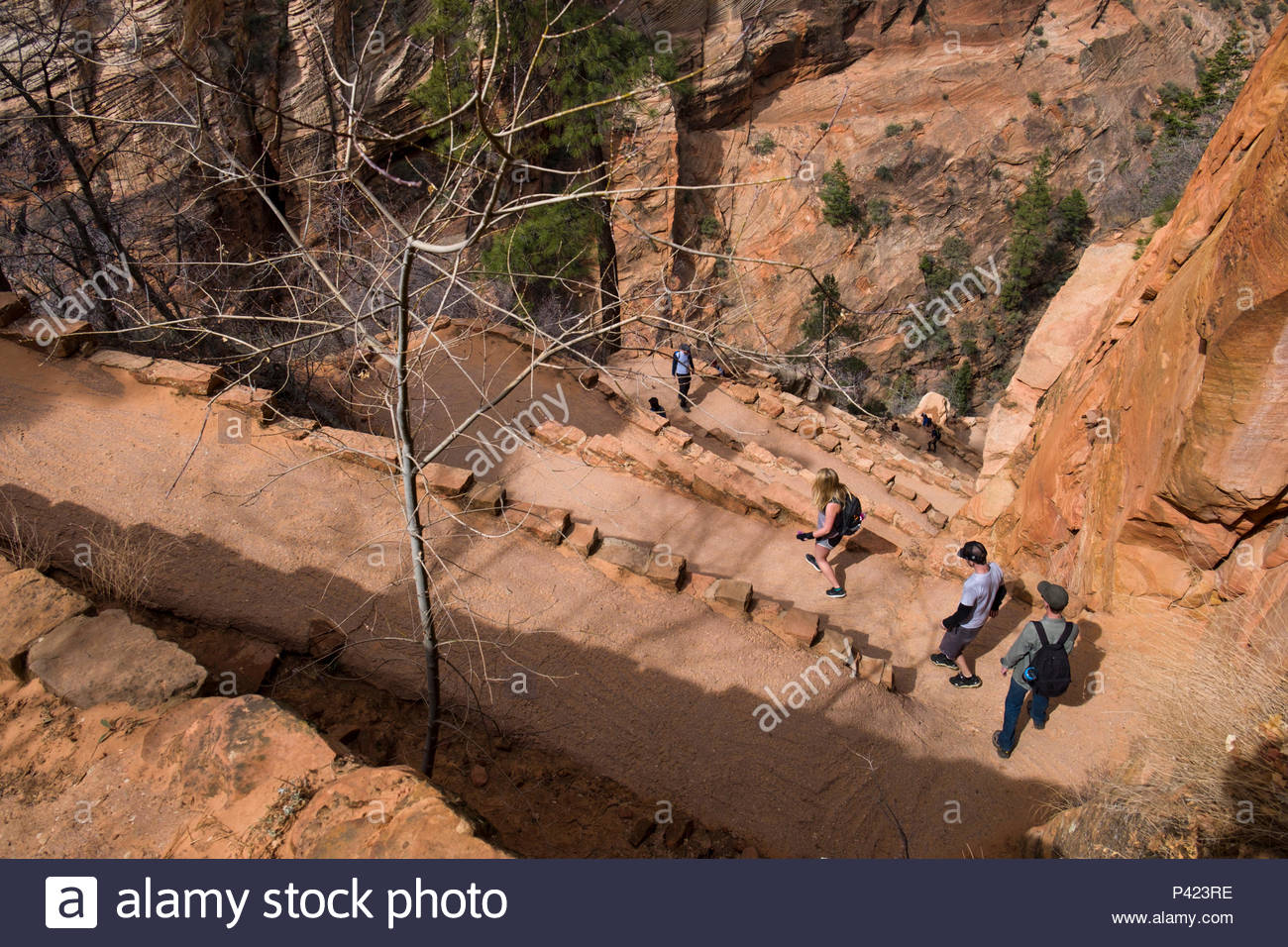Walters Wiggles Zion National Park Stock Photos & Walters Wiggles Zion ...