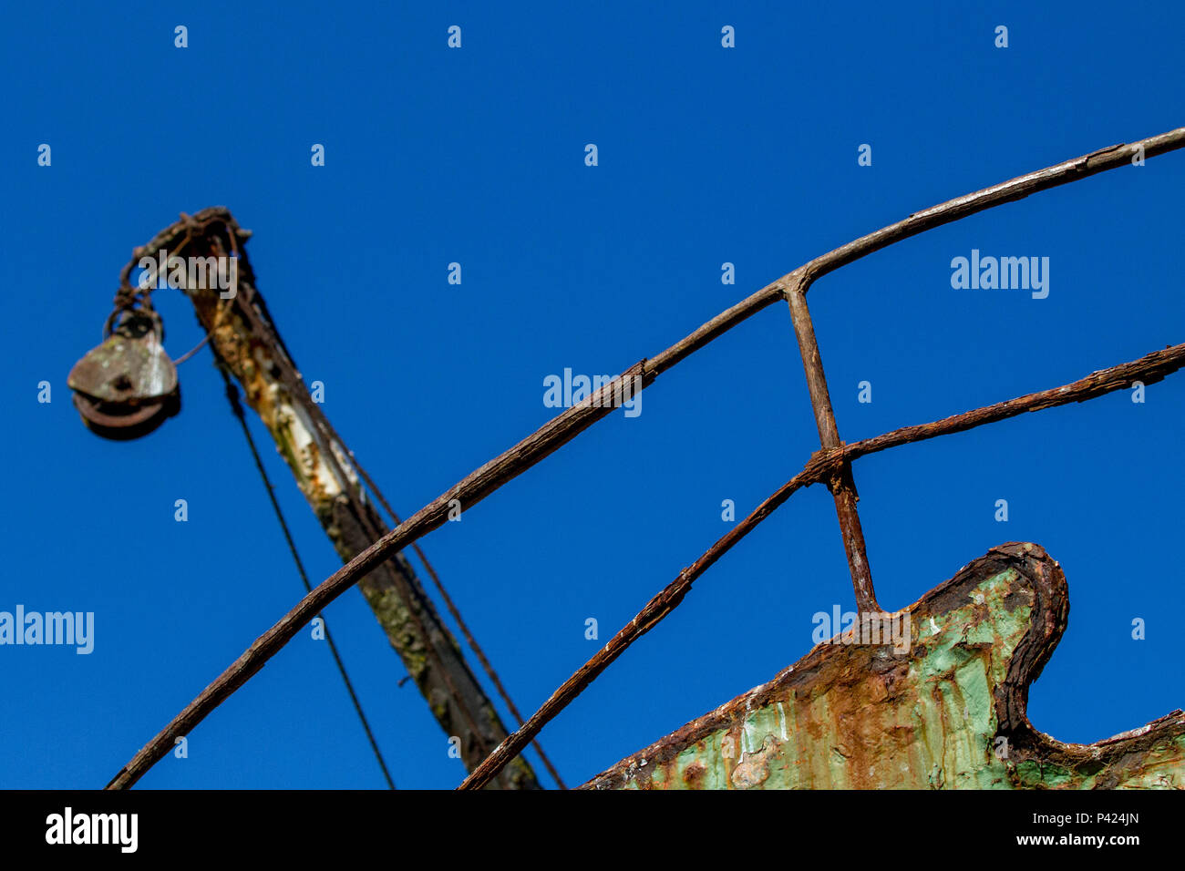 Ferrugem brasil hi-res stock photography and images - Alamy