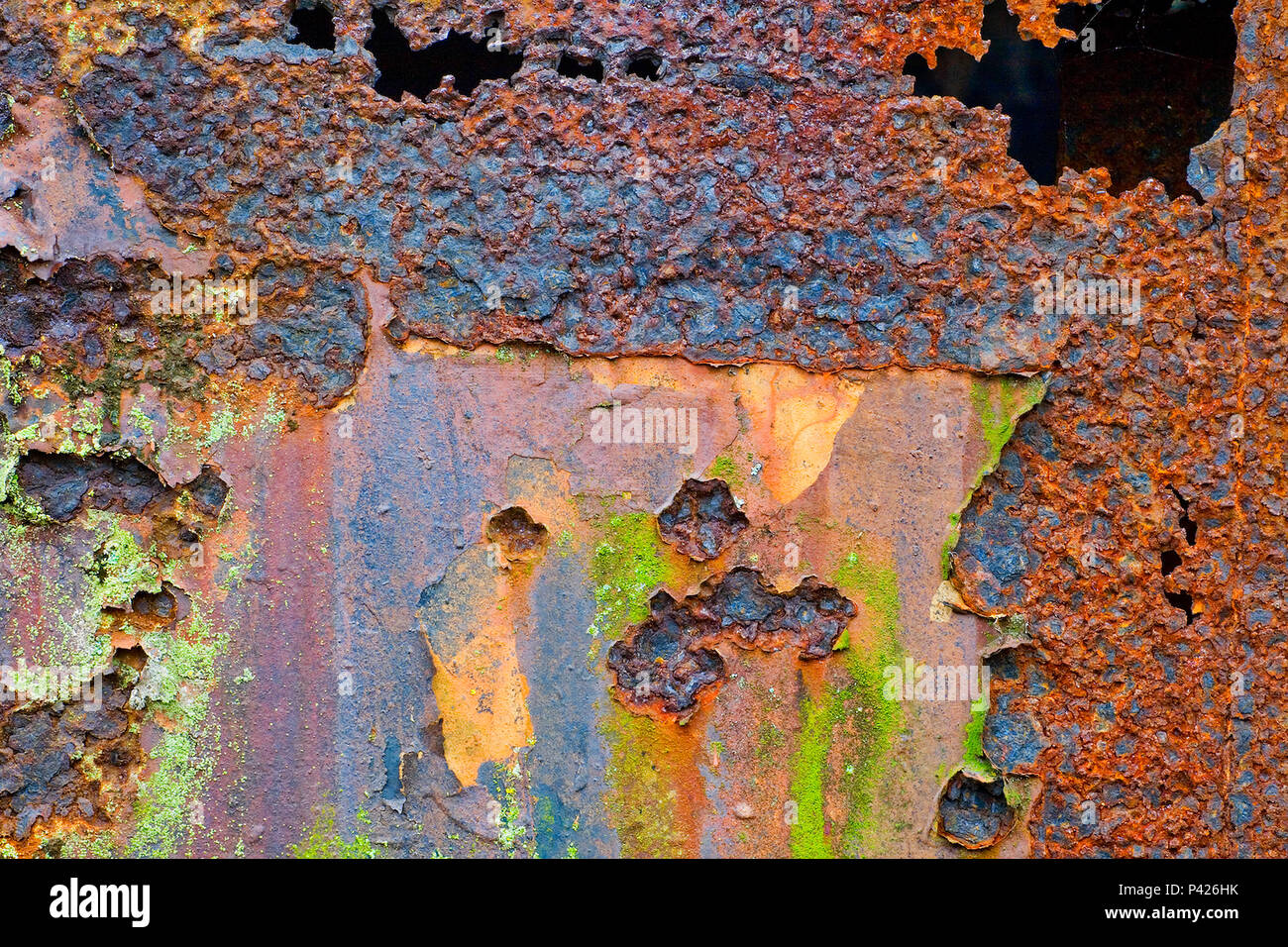 Ferrugem brasil hi-res stock photography and images - Alamy