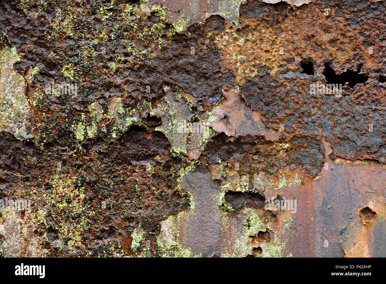 Ferrugem brasil hi-res stock photography and images - Alamy