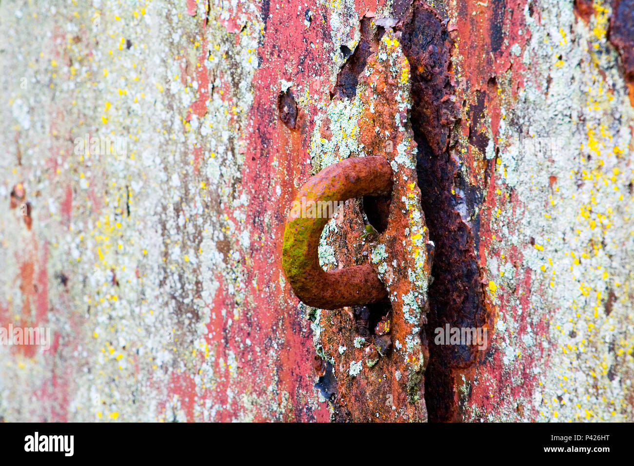 Ferrugem brasil hi-res stock photography and images - Alamy