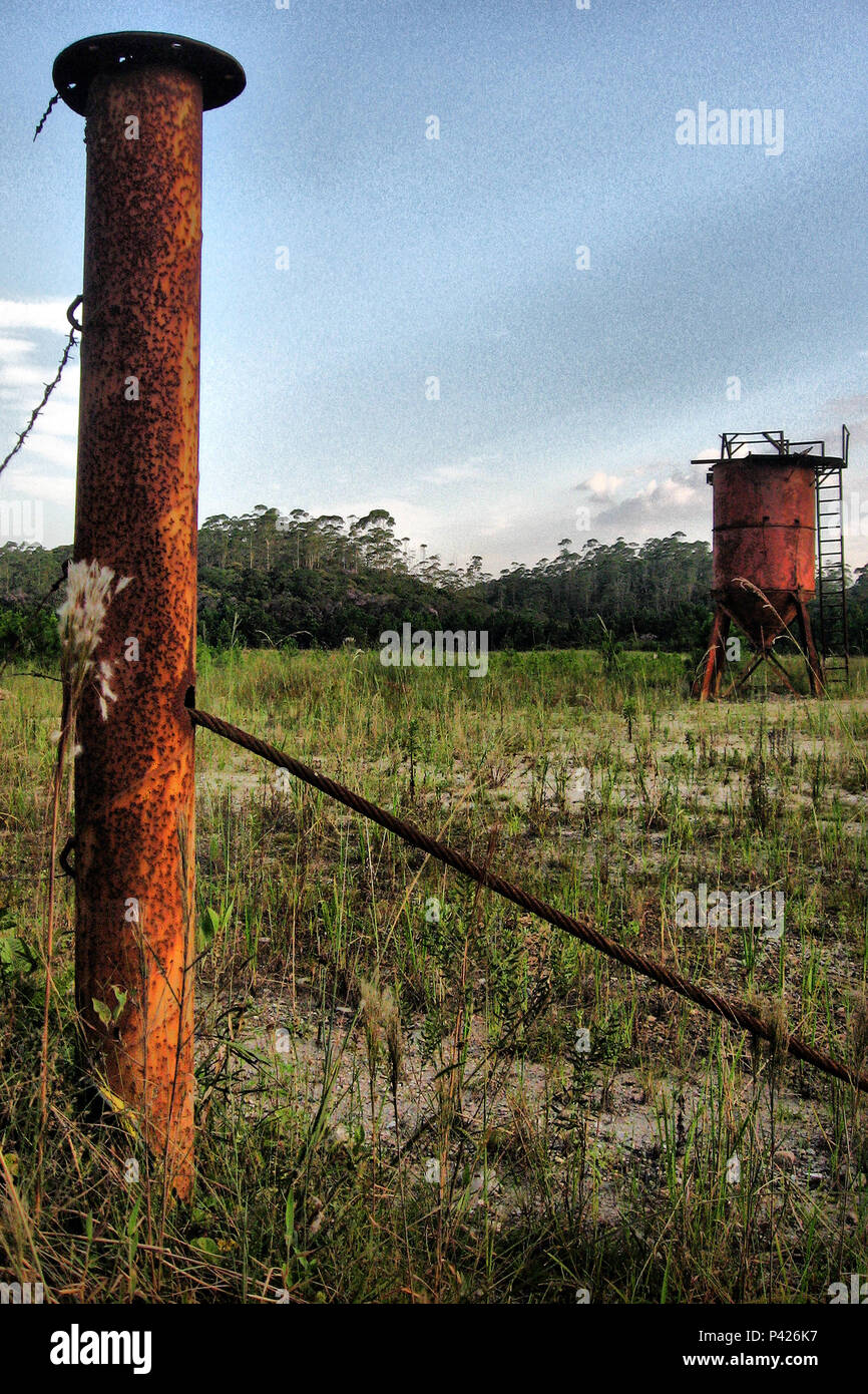 Ferrugem brasil hi-res stock photography and images - Alamy