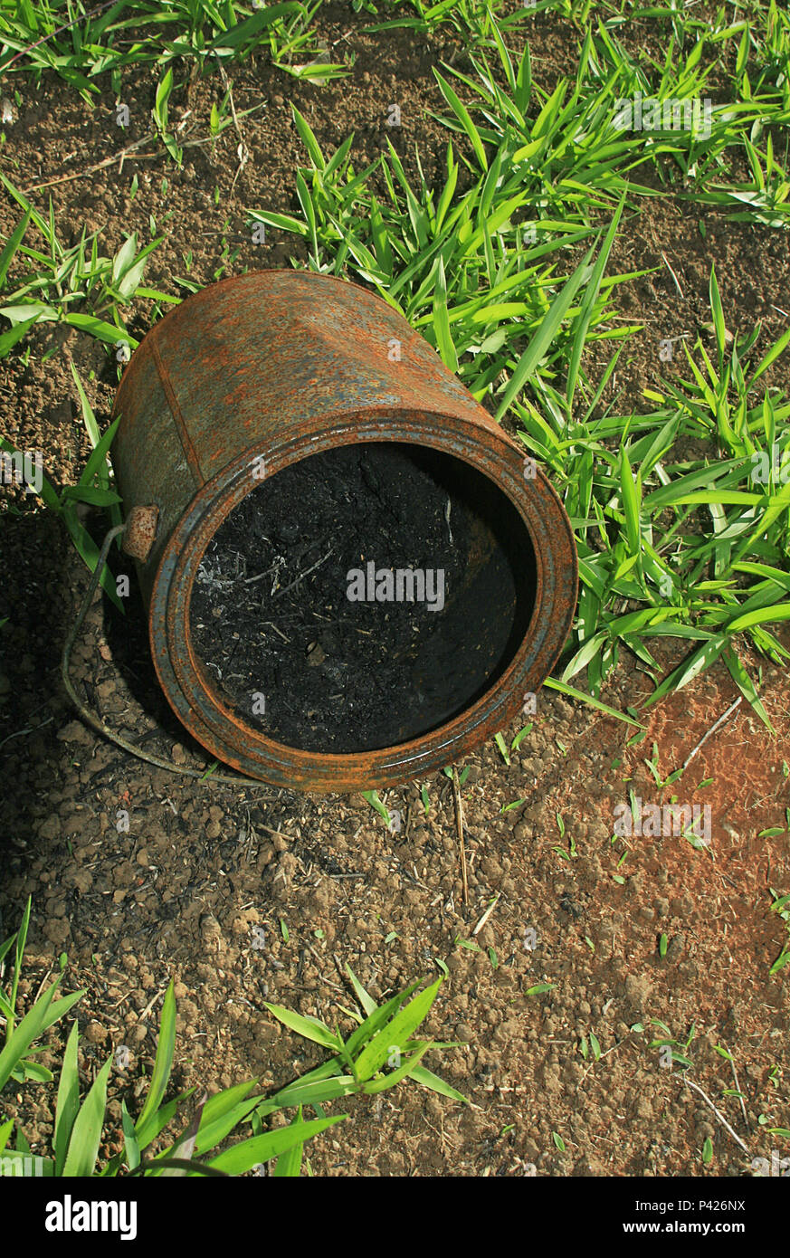 Ferrugem brasil hi-res stock photography and images - Alamy