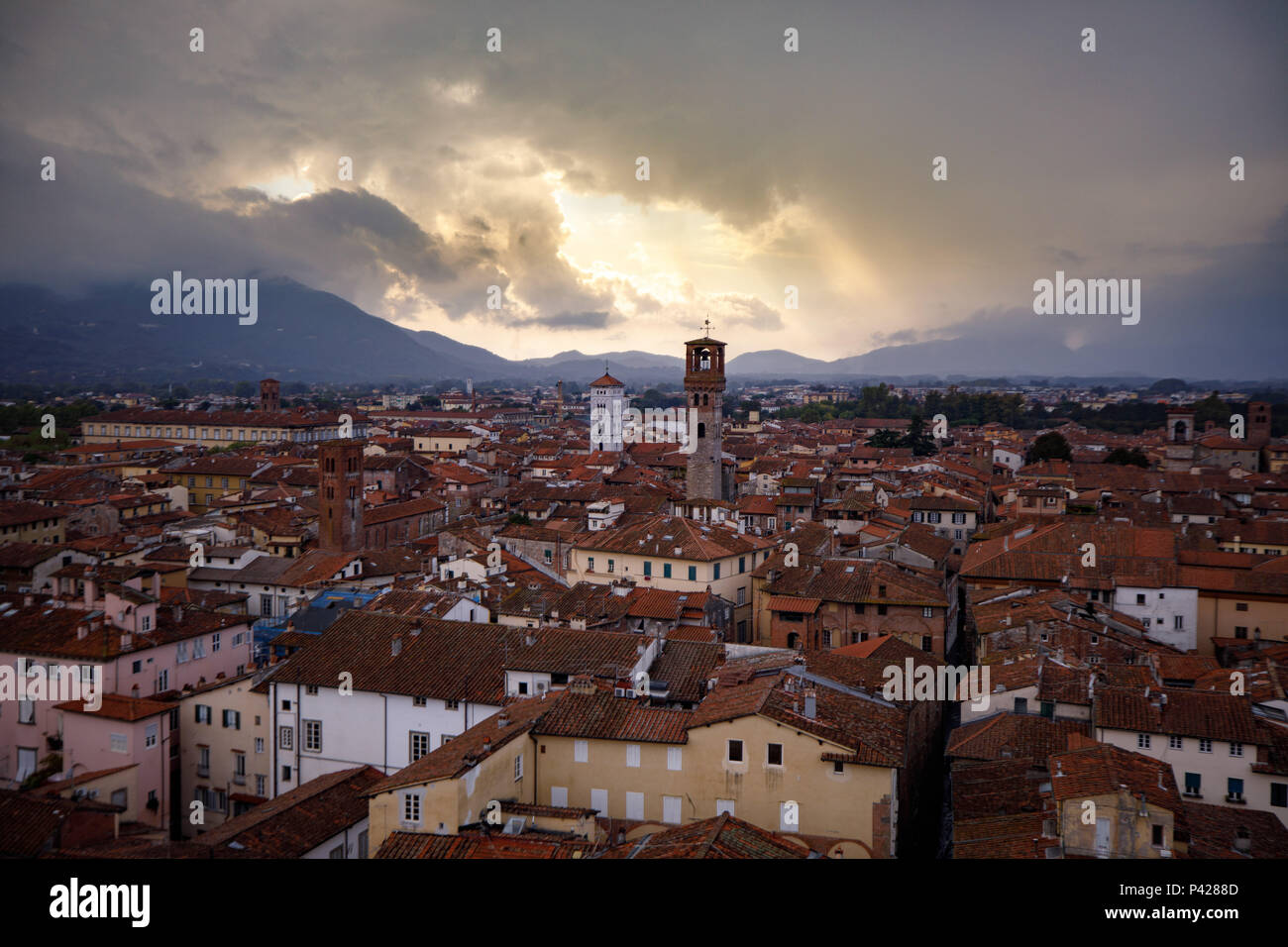 Vista panoramica desde a Torre Guinigi da cidade de Lucca, Toscana ...