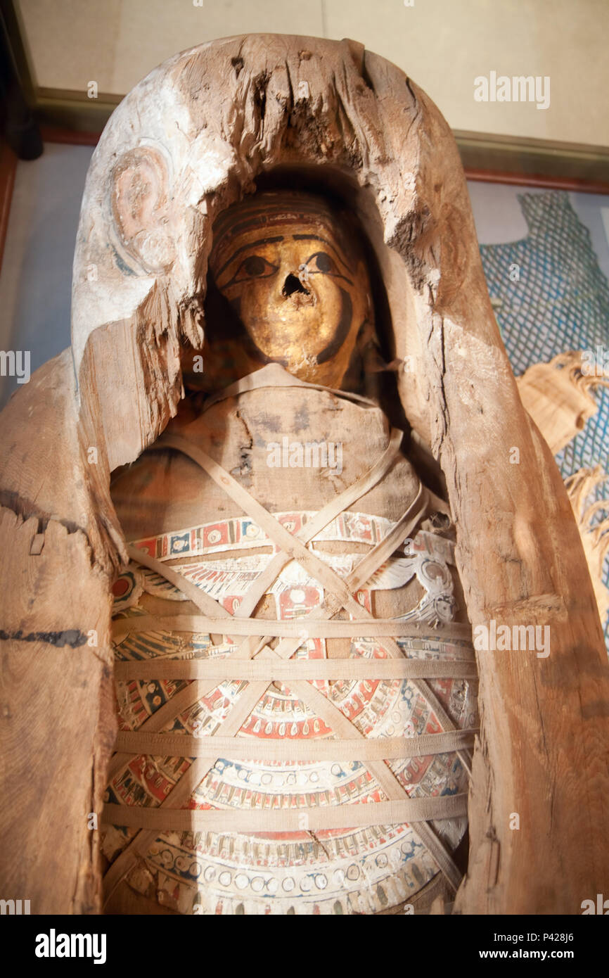 Egypt mummy hi-res stock photography and images - Alamy