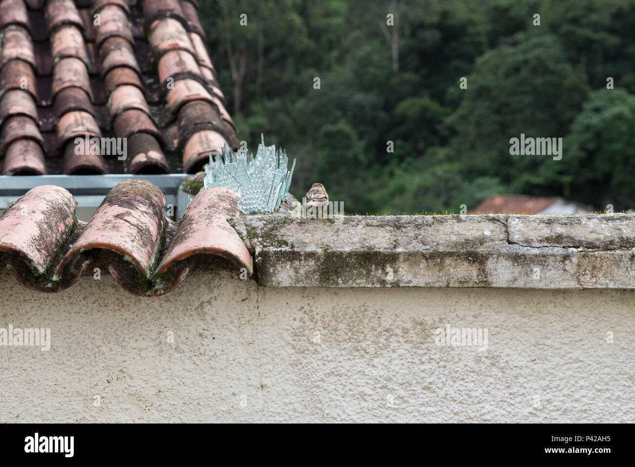 Muro colonial hi-res stock photography and images - Alamy