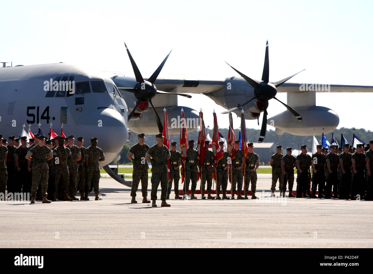 Marines with the 2nd Marine Aircraft Wing stand in formation during the ...