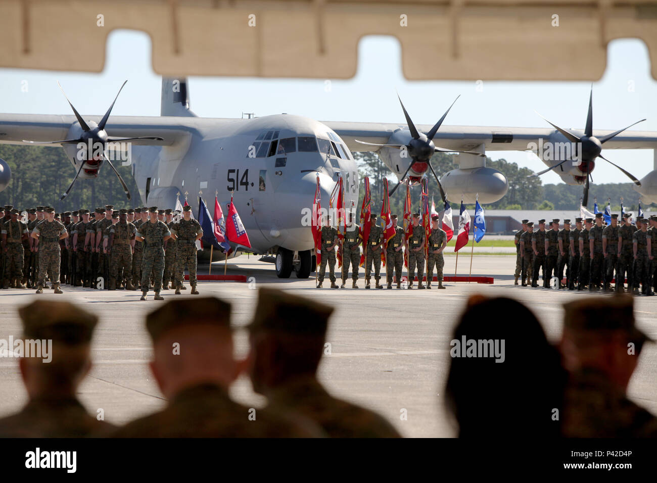 Marines with 2nd Marine Aircraft Wing stand in formation during the 2nd ...