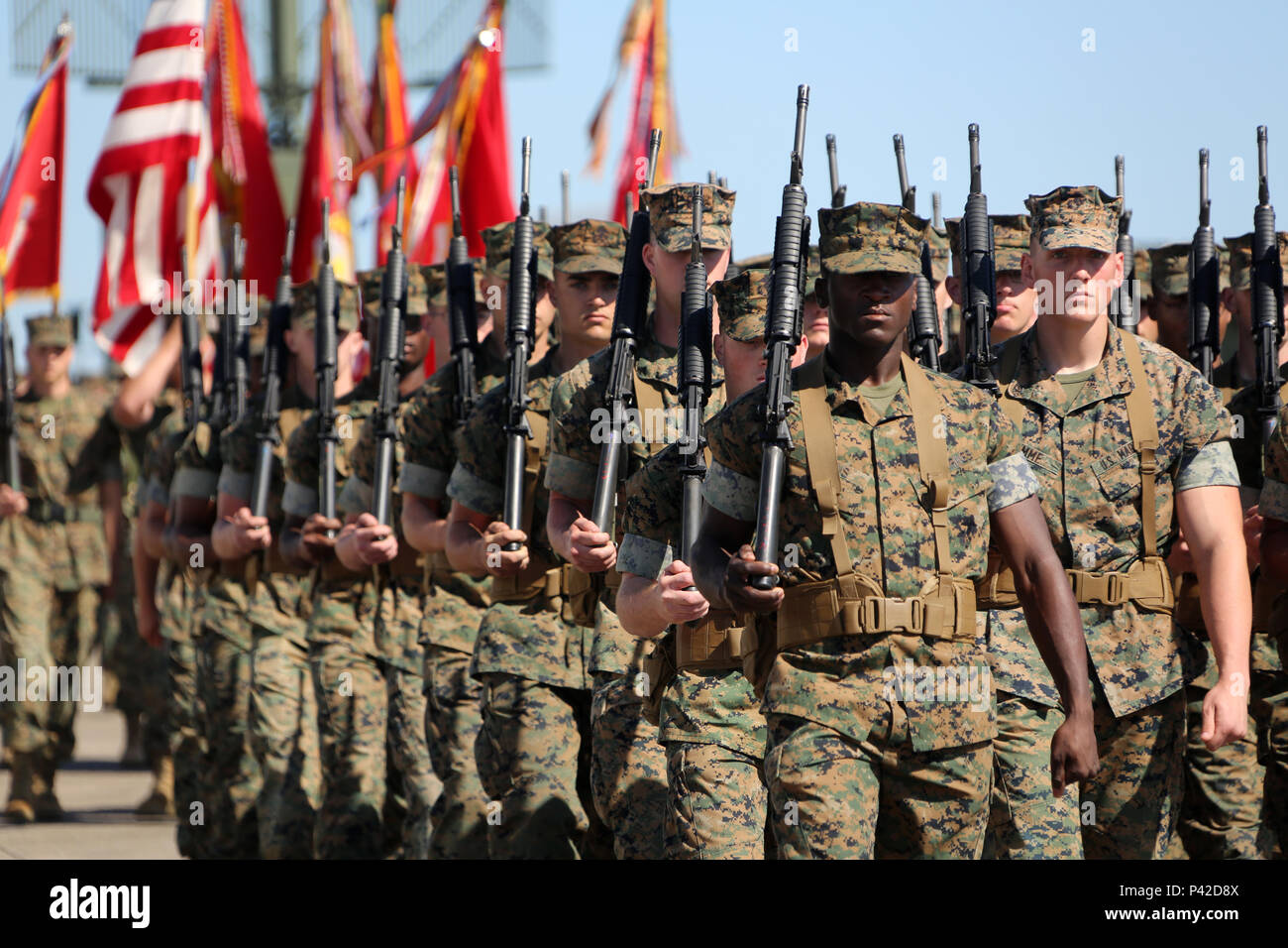 Marines with the 2nd Marine Aircraft Wing perform a pass-in-review for ...