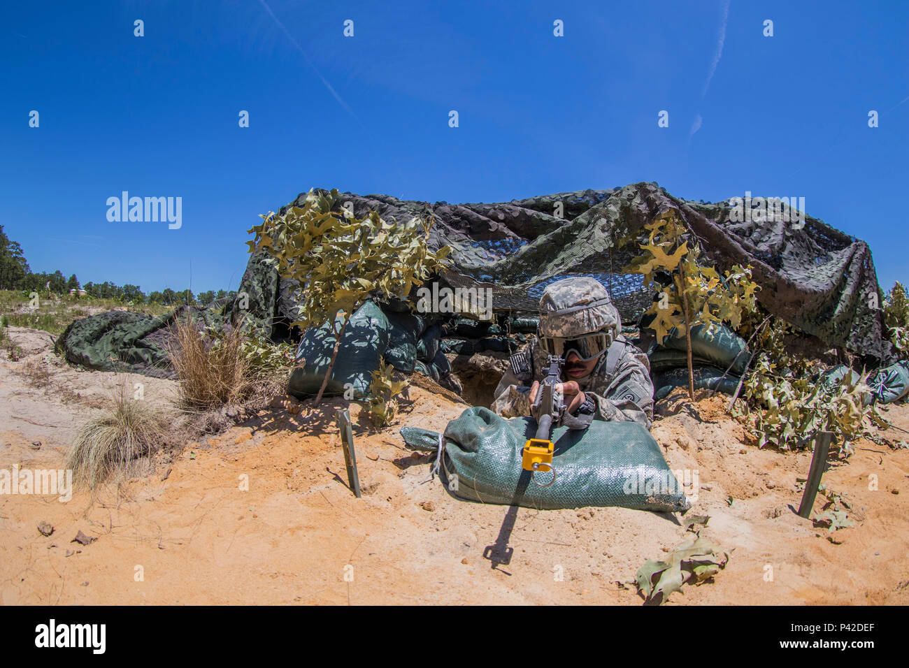 122 asb hi-res stock photography and images - Alamy