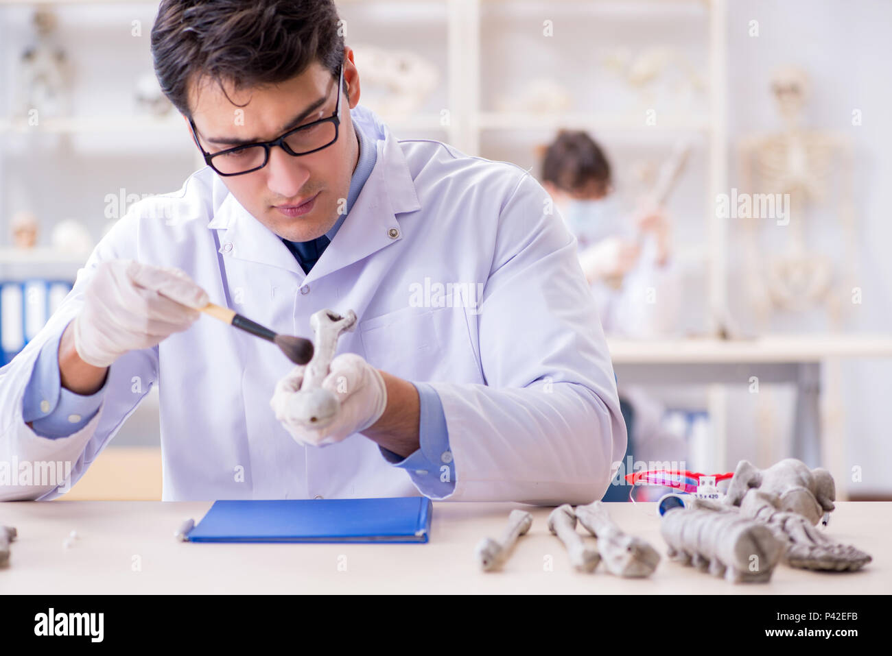 Human remains lab hi-res stock photography and images - Alamy