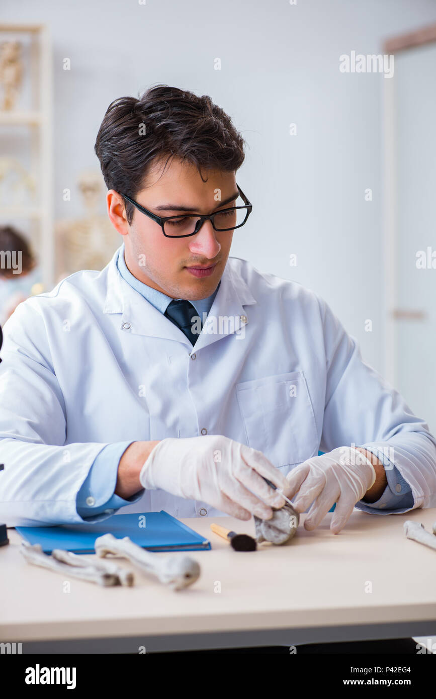 Professor studying human skeleton in lab Stock Photo - Alamy