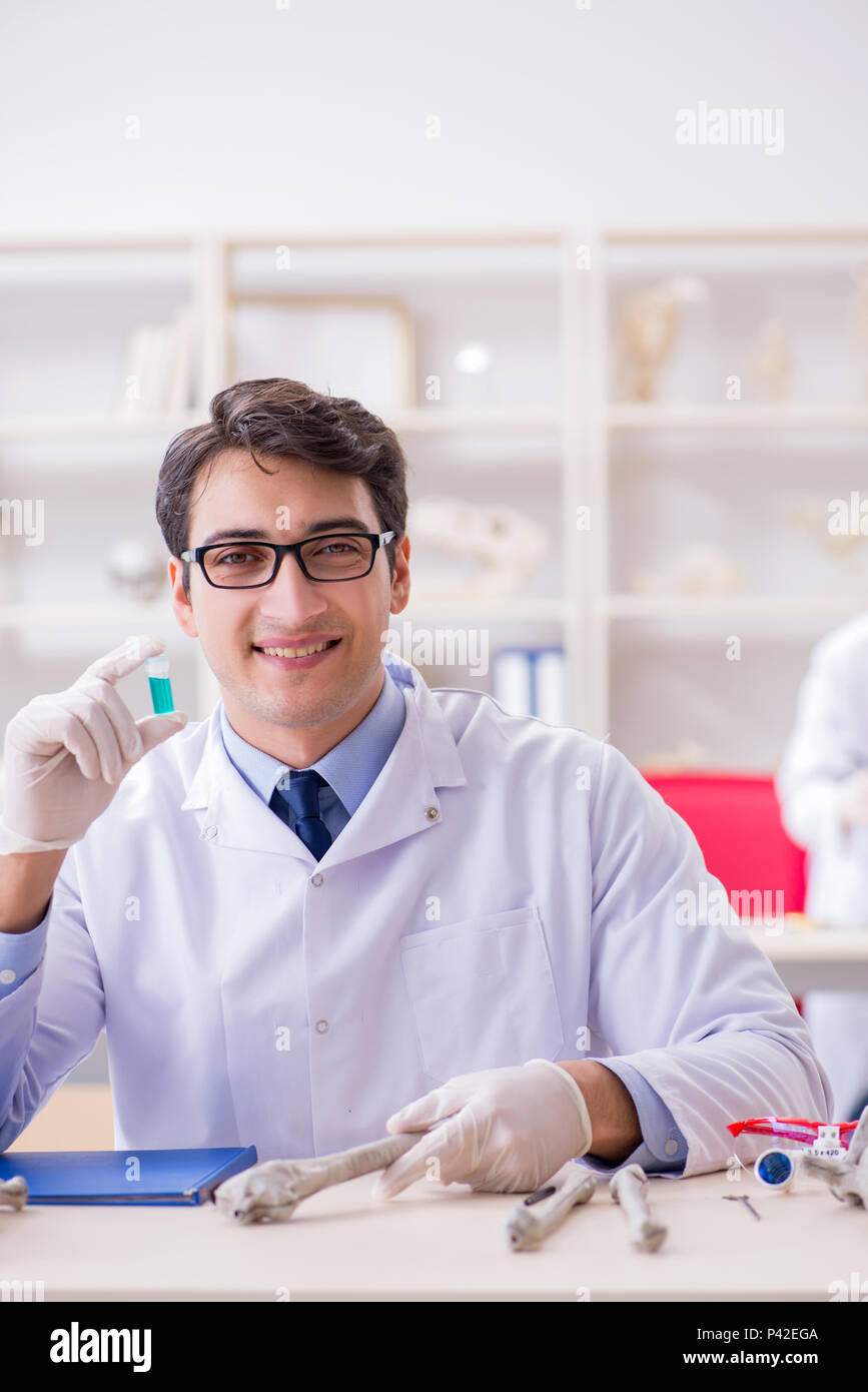 Professor studying human skeleton in lab Stock Photo - Alamy