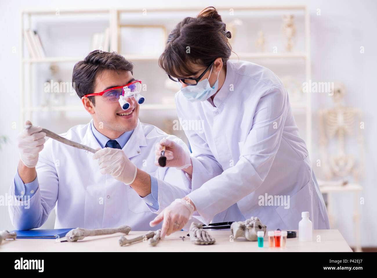 Professor studying human skeleton in lab Stock Photo - Alamy