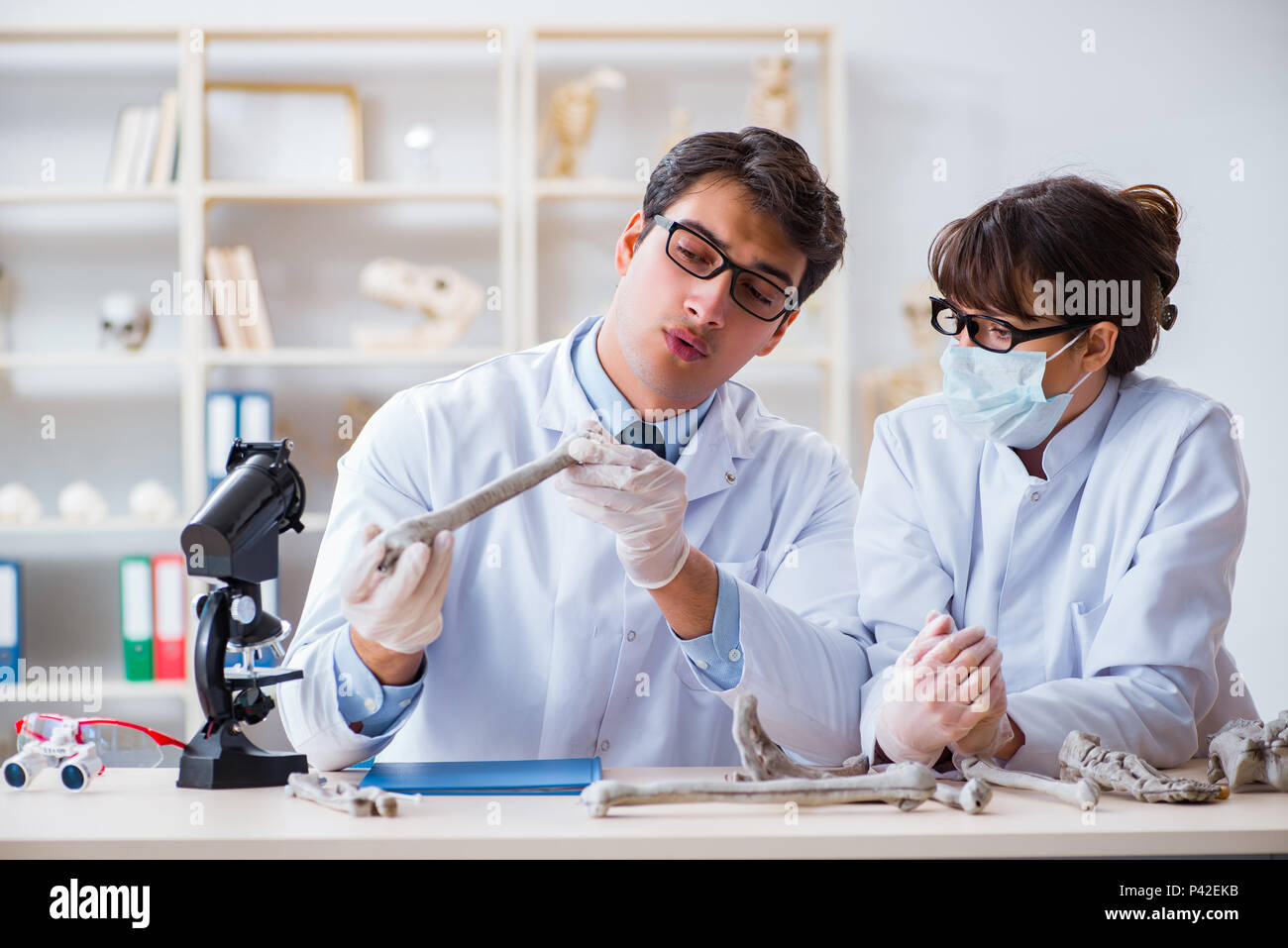 Professor studying human skeleton in lab Stock Photo - Alamy