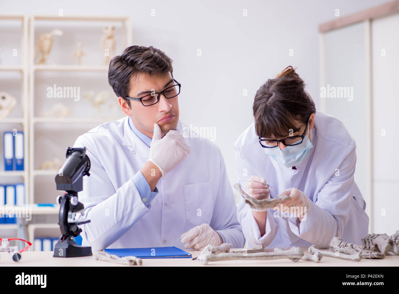 Professor studying human skeleton in lab Stock Photo - Alamy