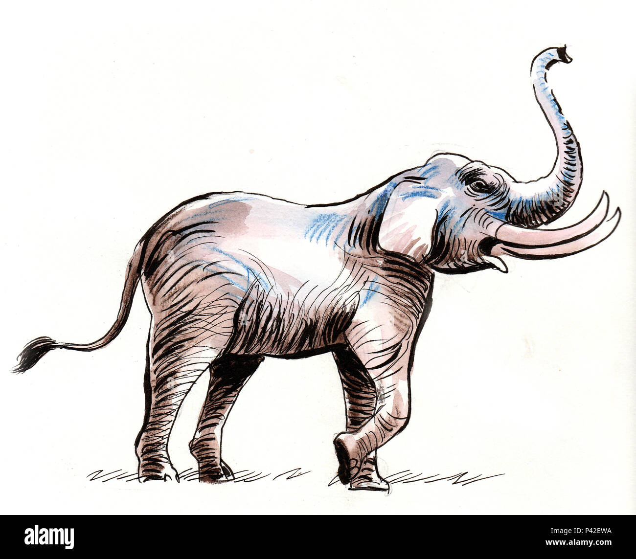 Elephant watercolor artwork hi-res stock photography and images - Alamy