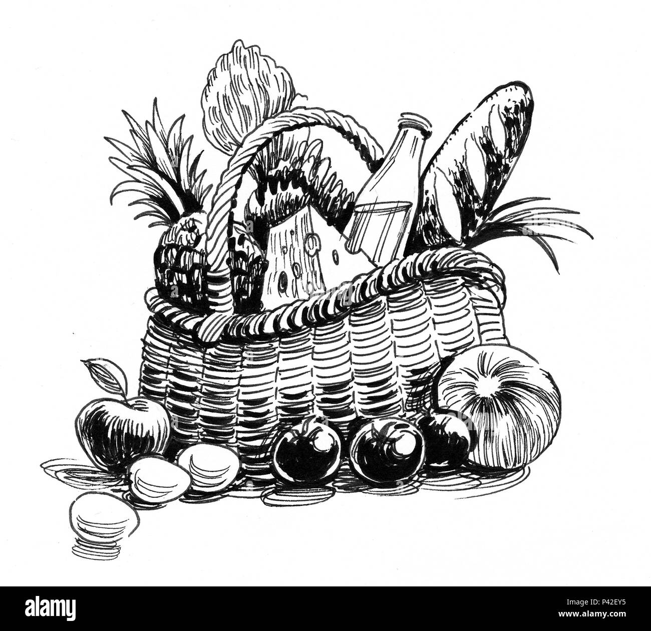 Onion black white sketch Black and White Stock Photos & Images - Alamy