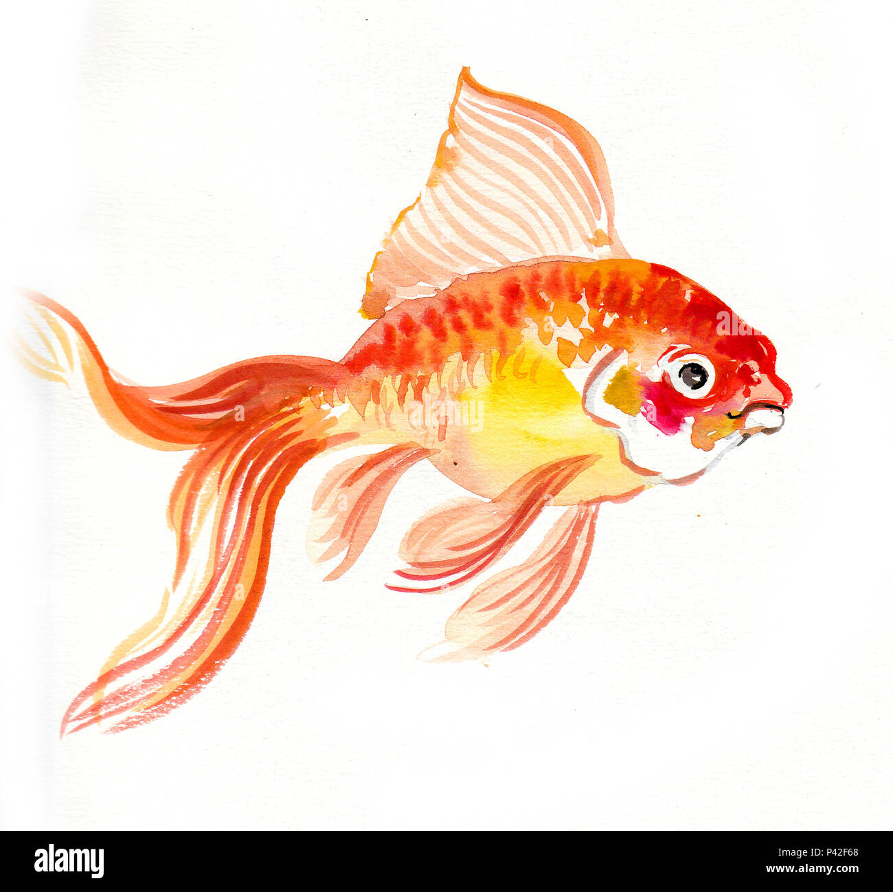 Watercolor gold fish hi-res stock photography and images - Alamy