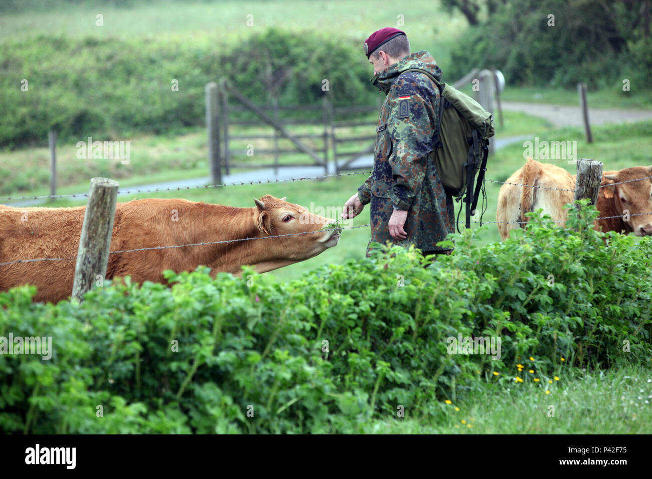 Lt col james e rudder hi-res stock photography and images - Alamy