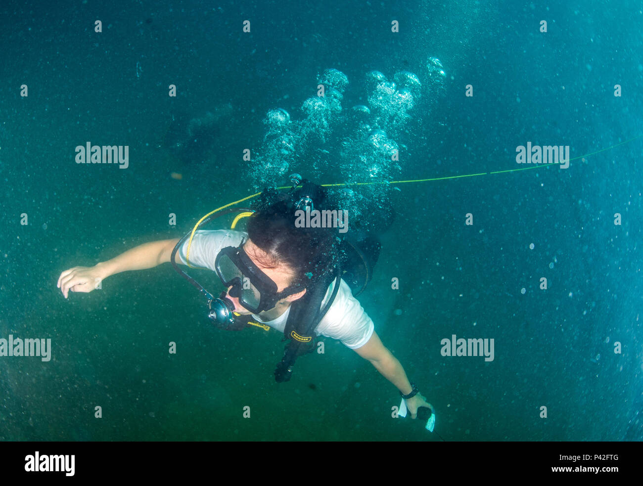 A Vietnam People’s Navy diver conducts an underwater UXO removal ...
