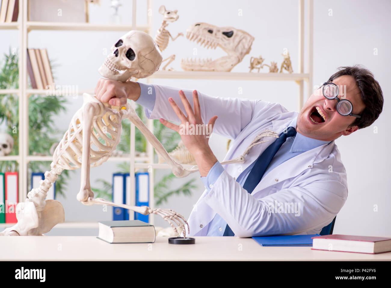 Crazy professor studying human skeleton Stock Photo - Alamy