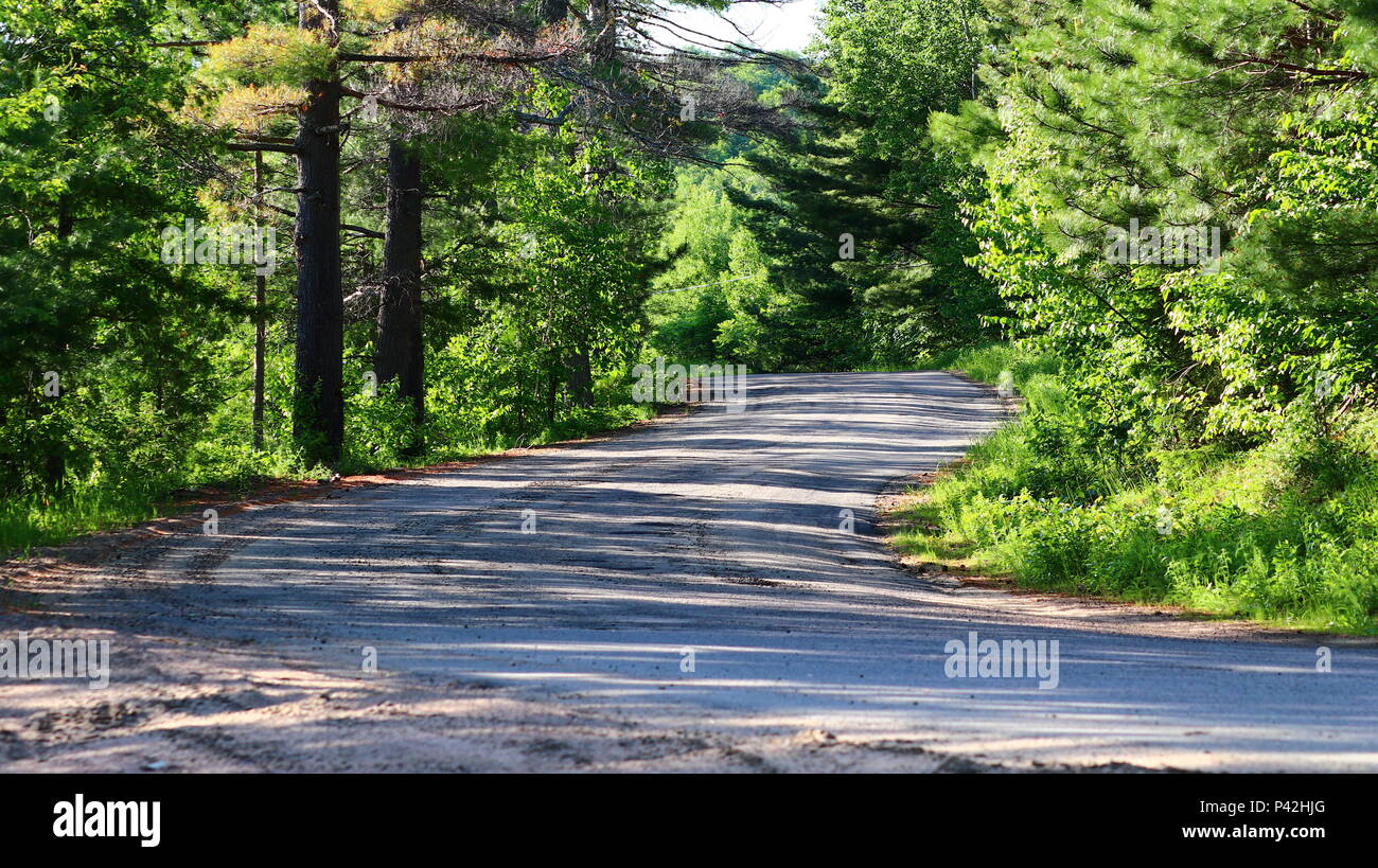 old paved road leading into the forest Stock Photo - Alamy