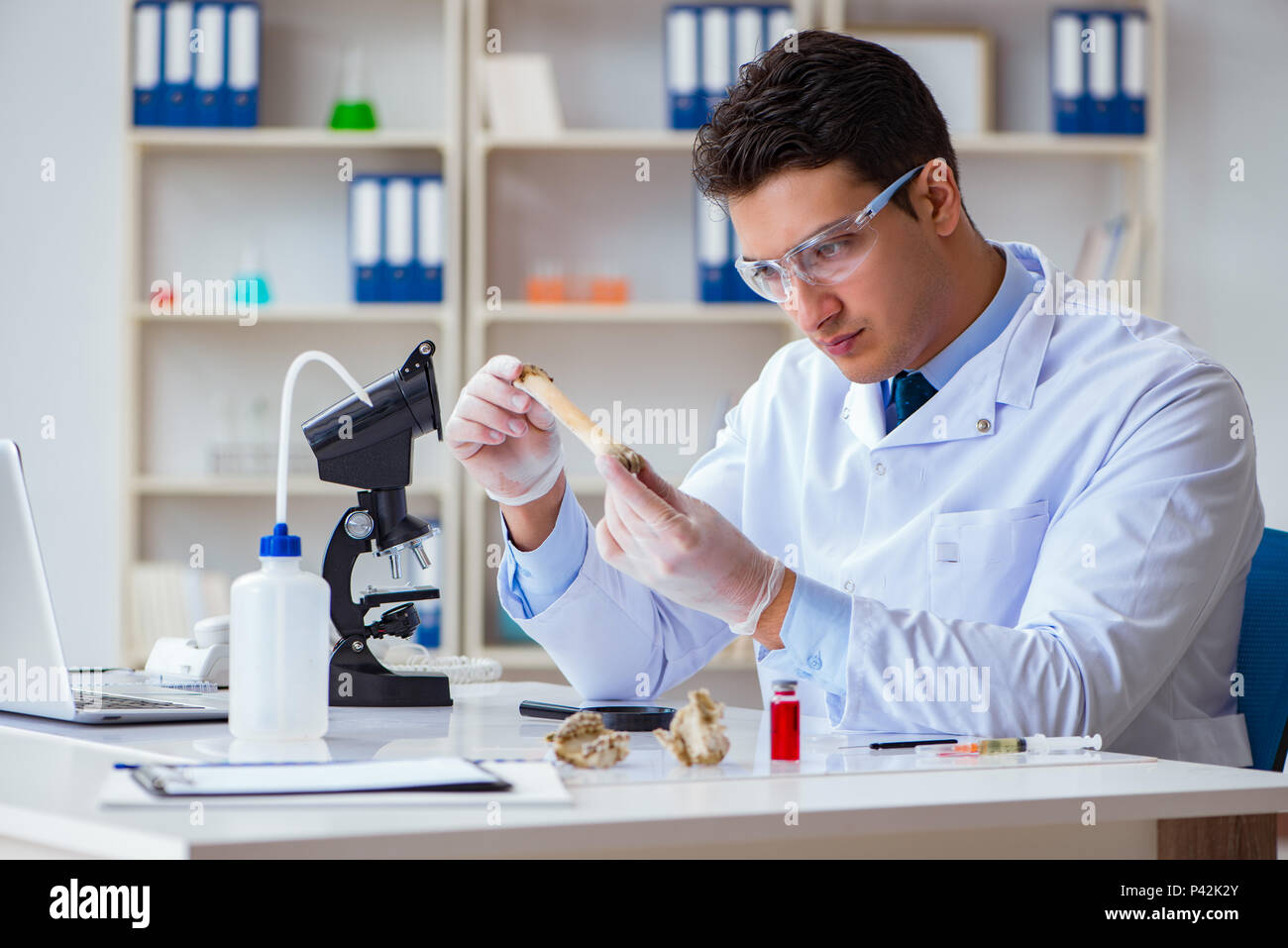 Paleontologist looking at extinct animal bone Stock Photo - Alamy