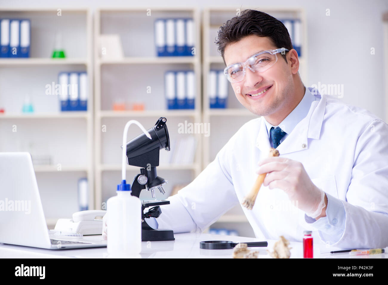 Paleontologist looking at extinct animal bone Stock Photo - Alamy