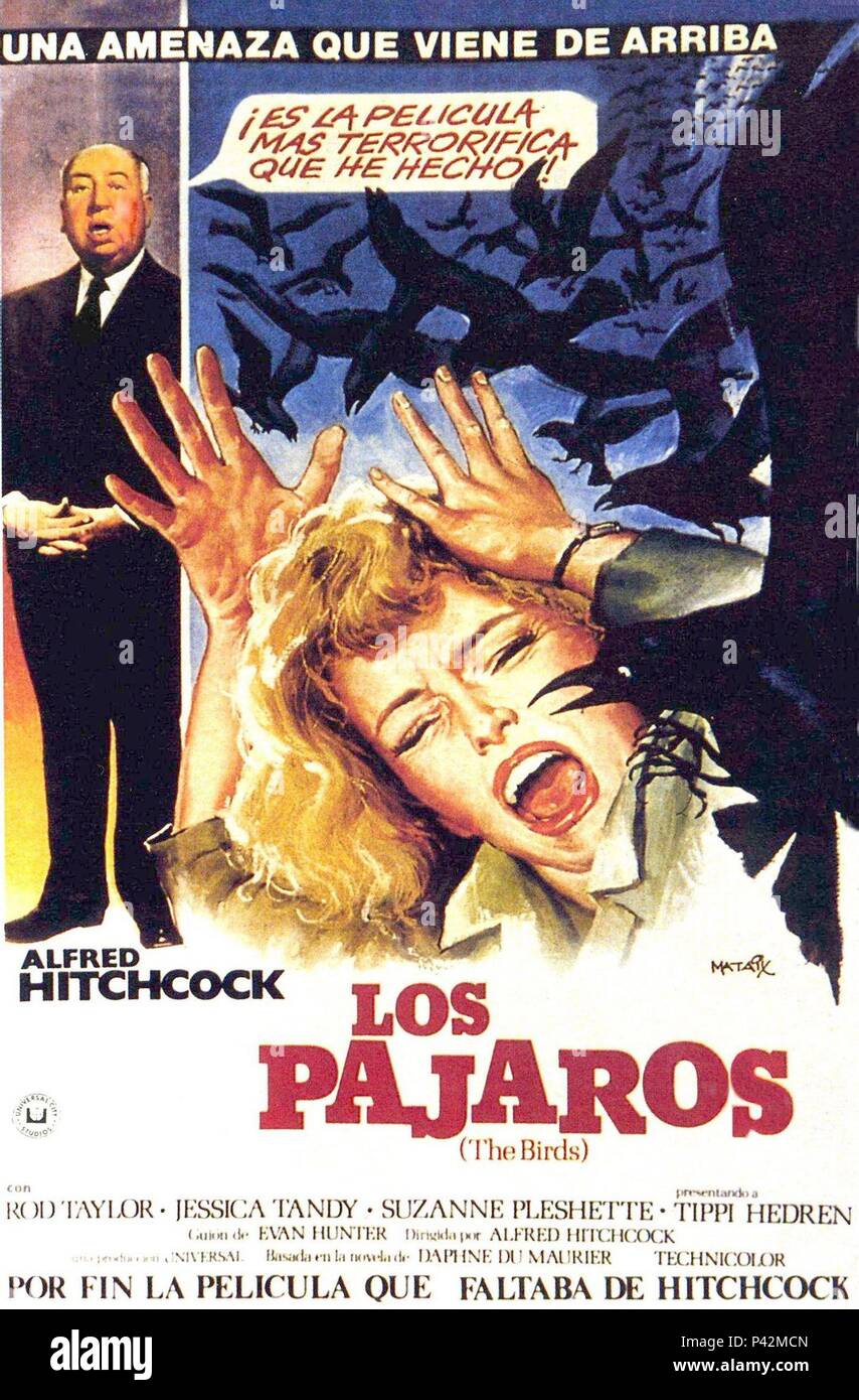 Original Film Title: THE BIRDS. English Title: THE BIRDS. Film Director ...