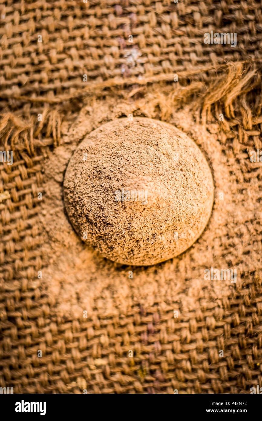 Acacia babul tree hi-res stock photography and images - Alamy