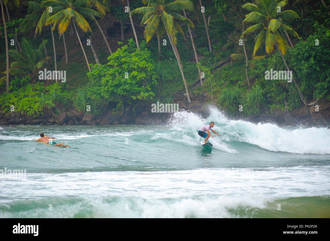 Surfing in Mirissa, Sri Lanka Stock Photo - Alamy