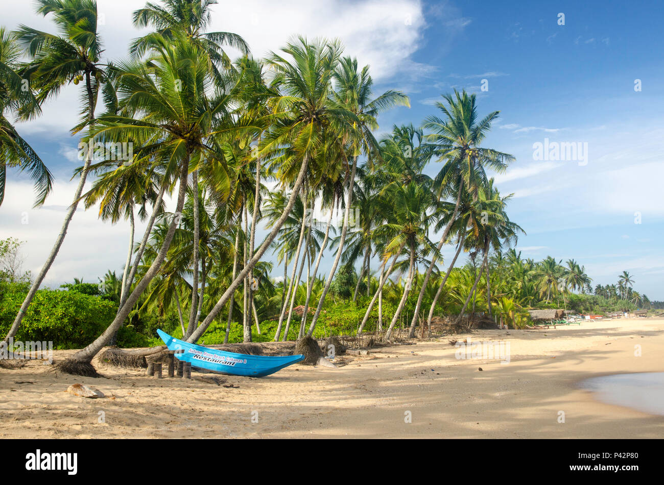 Tangalla beach, Sri Lanka Stock Photo - Alamy