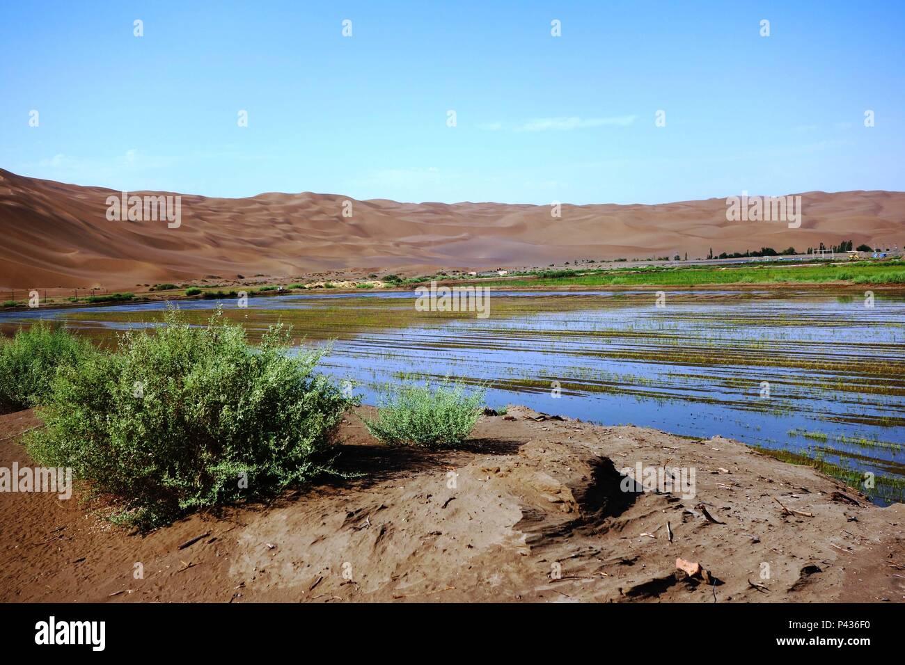 Turpan, Turpan, China. 21st June, 2018. Turpan, CHINA-People try to ...