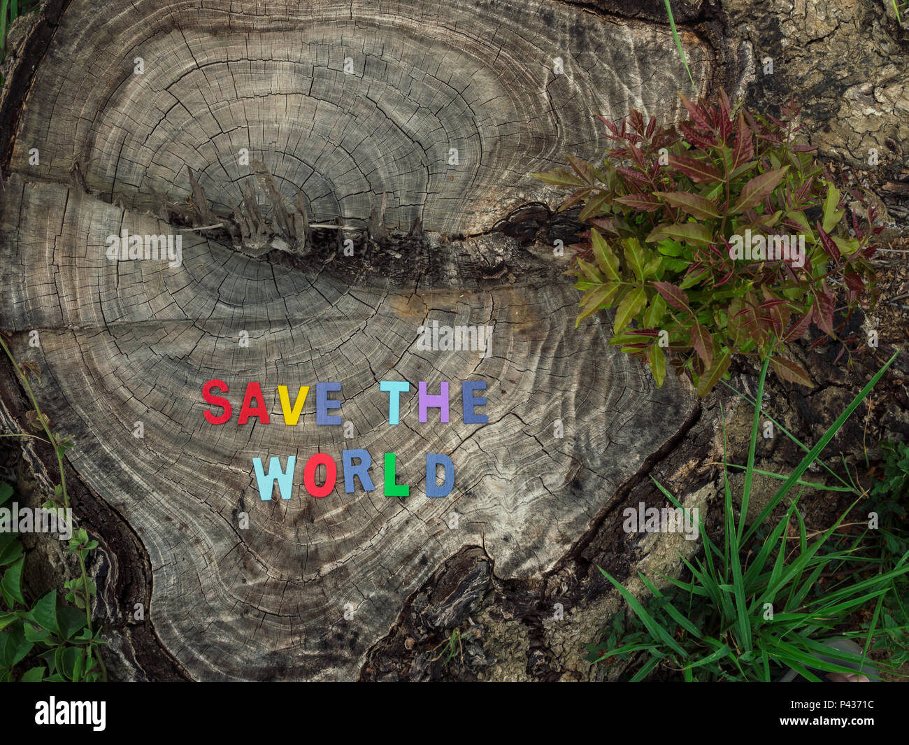 “Save The Word” Text on Stump with Plant. Save Earth and Environment ...