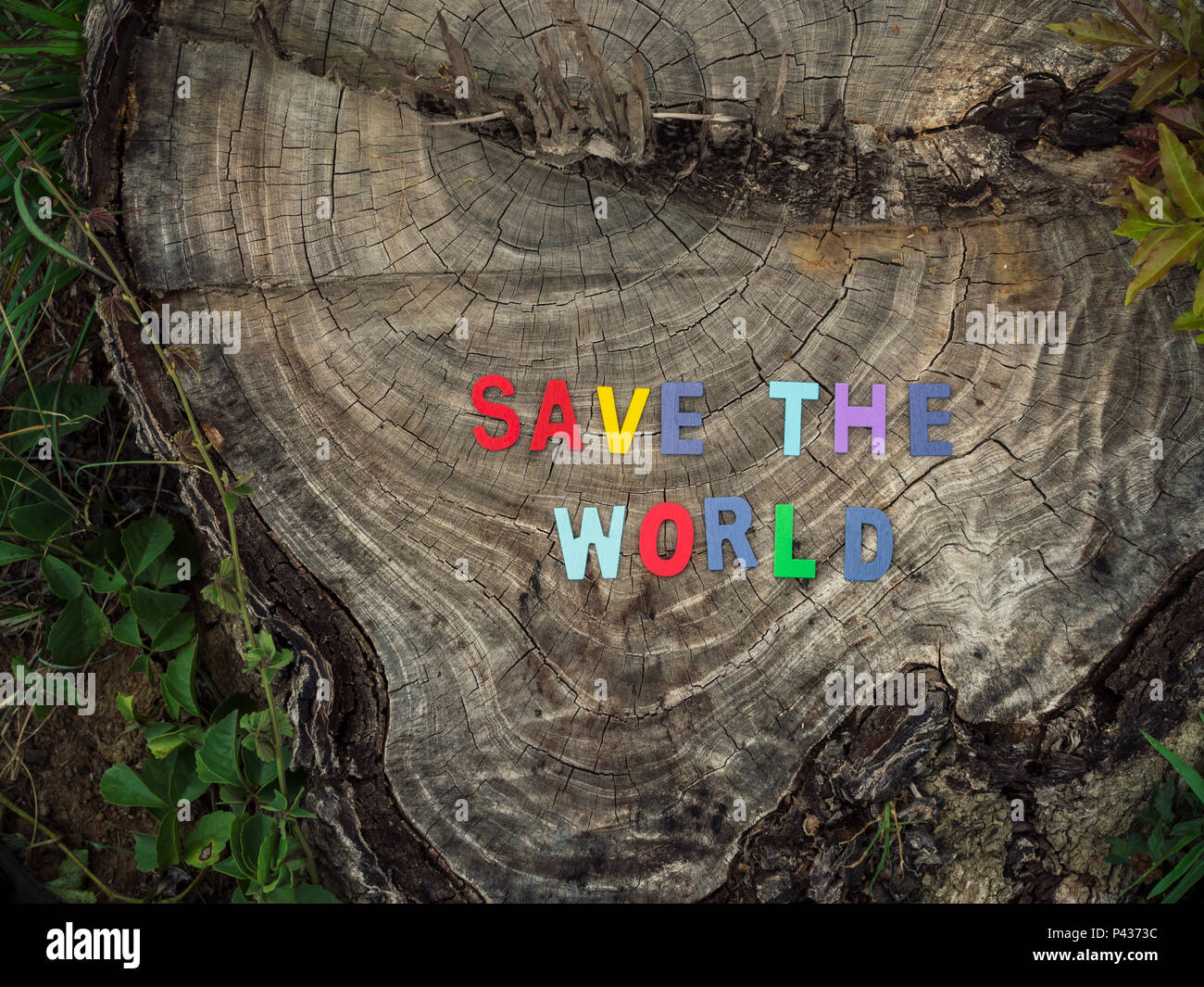 “Save The Word” Text on Stump. Save Earth and Environment, Ecology ...
